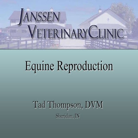 Equine Reproductive Techniques | PPTX