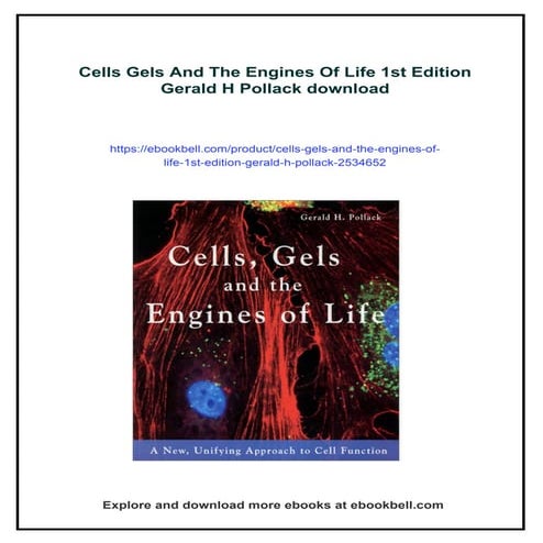 Cells Gels And The Engines Of Life 1st Edition Gerald H Pollack | PDF