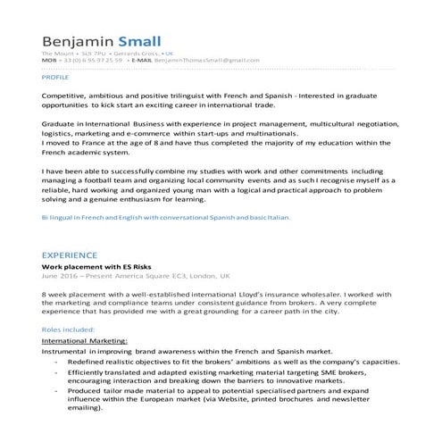 Benjamin.Small.CV.Detailed | DOCX