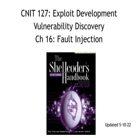 Ch 16 & 17 Fault Injection & Fuzzing | PDF