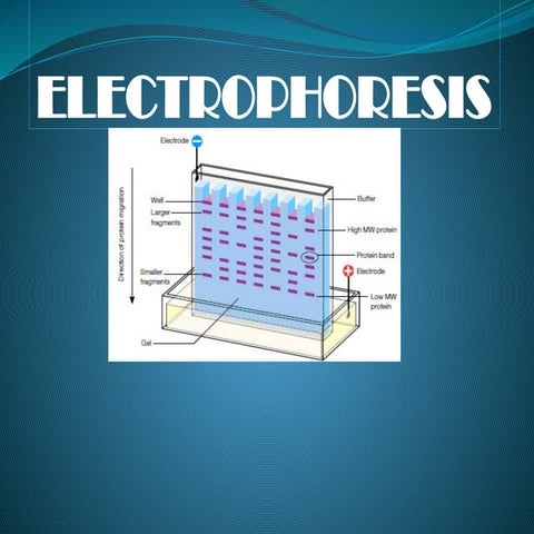 Electrophoresis & its types | PPTX