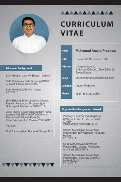 CV - RANI ELIZA ZETHARY | PDF