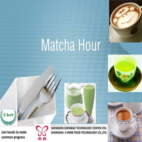 Matcha introduction-Shenzhen Huacheng (E-herb) | PDF