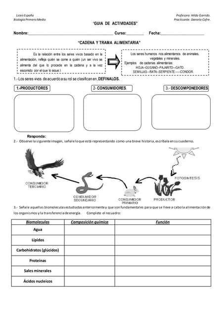 Organizacion interna de los seres vivos, celula, tejidos, organos y ...