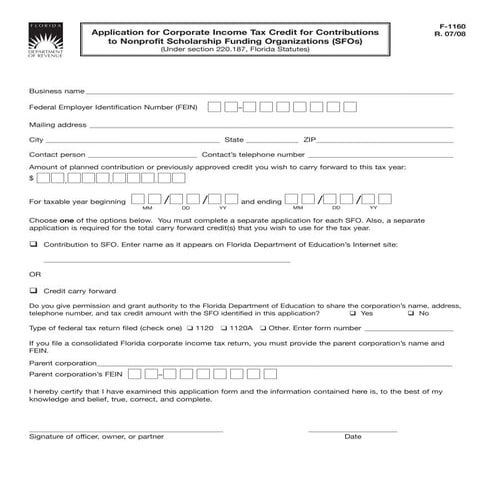 Form 300i Delaware Partnership Instructions | PDF