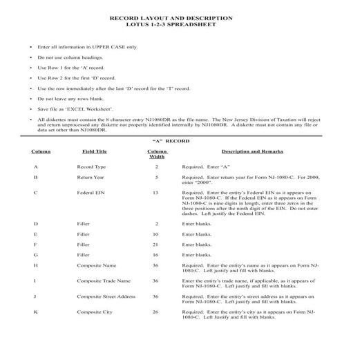 Record Layout and Description - Excel Spreadsheet | PDF