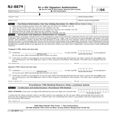 NJ-E FILE Signature Authorization | PDF