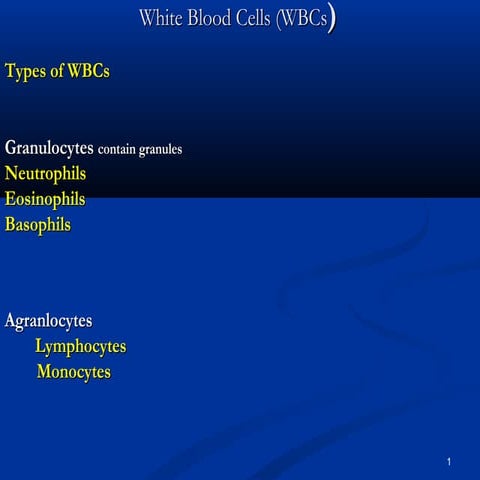 types of WBC | PPT | Blood Disorders | Diseases and Conditions