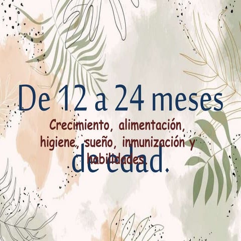 12 a 24 meses | PPTX