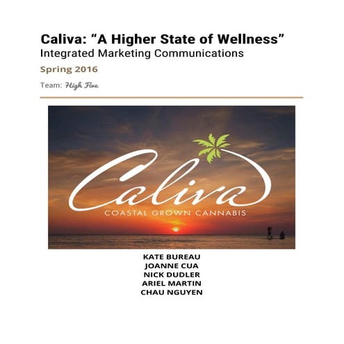 Caliva Report- Integrated Marketing Communication | PDF