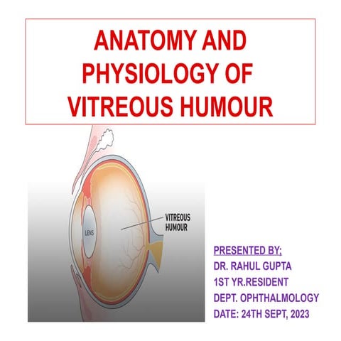 Anatomy of the vitreous body | PPTX