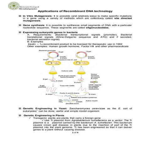 application of recombinant dna technology | DOC