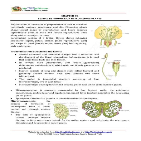12 biology notes_ch02_sexual_reproduction_in_flowering_plants | PDF