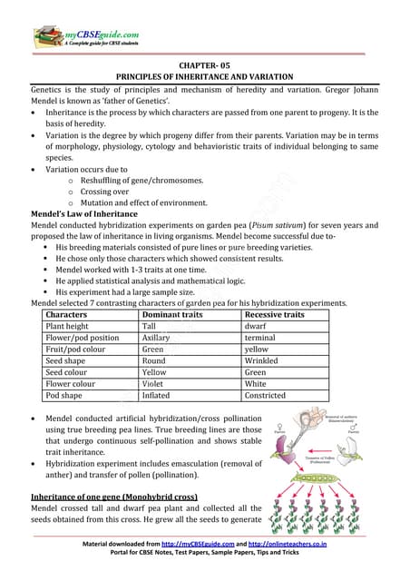 Chromosomal theory of inheritance | PPT