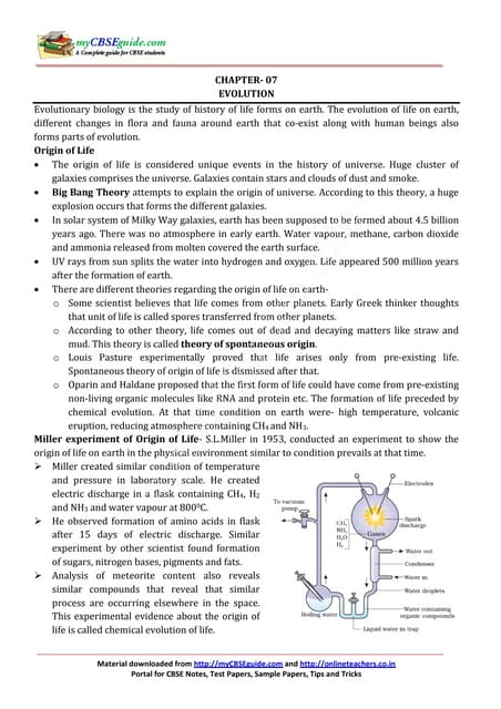 EVOLUTION Class XII Biology based on NCERT text book .pptx | Genetics ...