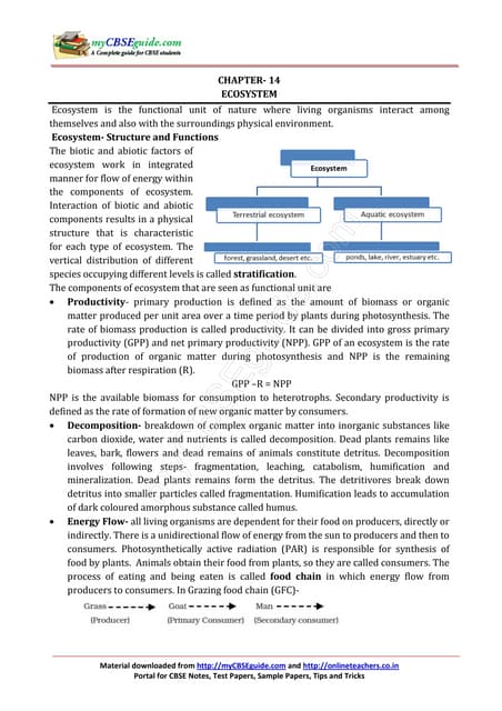 Ch 14 - Ecosystem || Class 12 || | PPTX