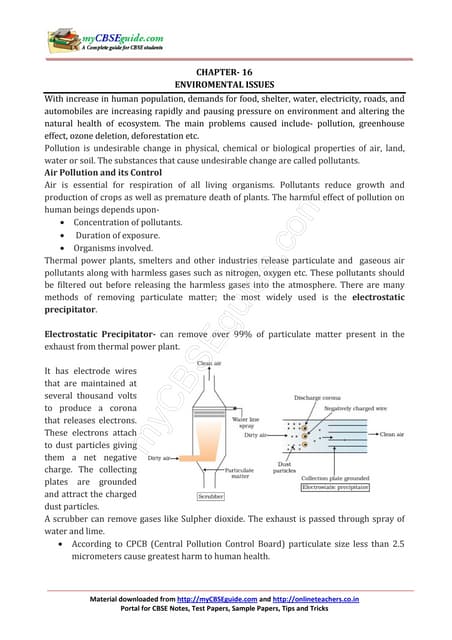 Environmental issues CLASS XII | PPT