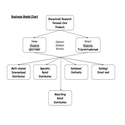 12 Business Model Chart | PDF