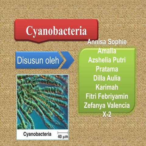 12 ciri khusus cyanobacteria | PPTX