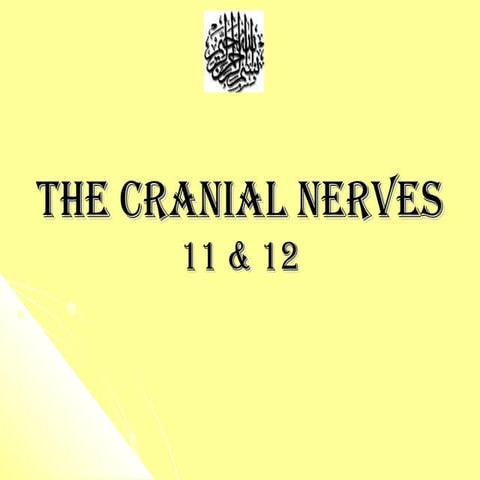Anatomy 12 pair Cranial Nerves 11 & 12 .pptx