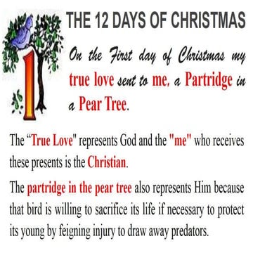 12 days of christmas | PPTX