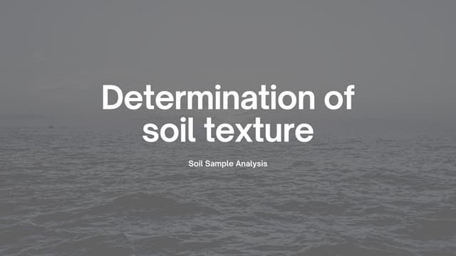 Seed Testing for Germination | PPTX