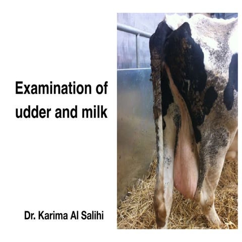 12 examination of the udder | PDF
