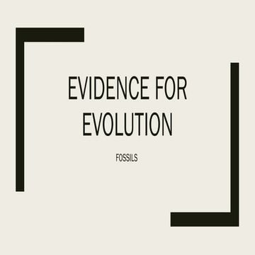 Year 12HB FOSSILS power point for the Human Biology course | PPTX