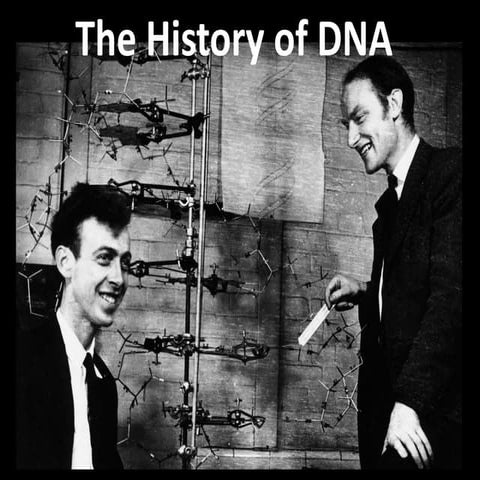 12 History of DNA | PPTX