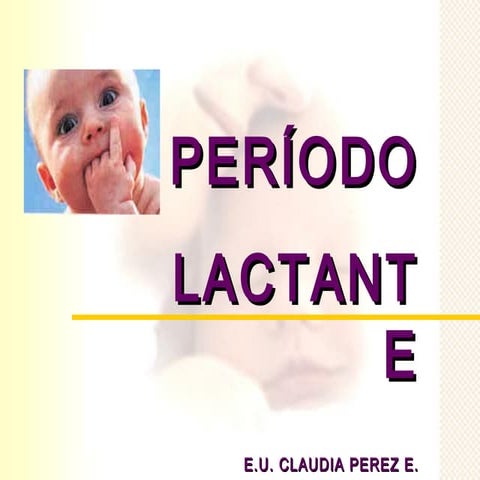 lactante | PPT