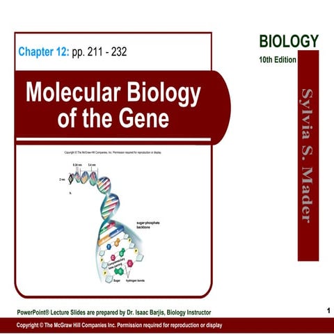 12 Lecture Animation Ppt | PPT