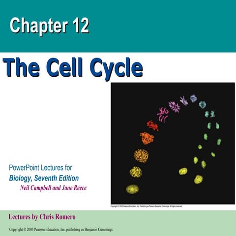 cell cycle | PPT
