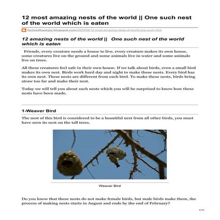 12 most amazing nests of the world || one such nest of the world which ...