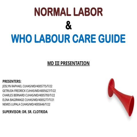 Second stage of labour | PPTX