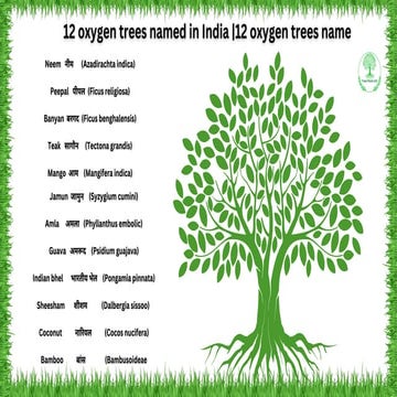 12 oxygen trees named in India 12 oxygen trees name.pdf
