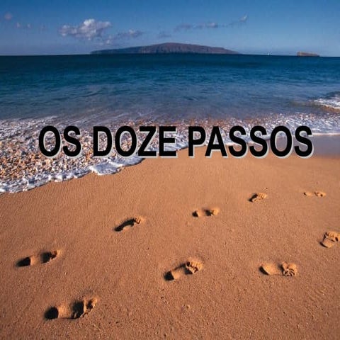 OS 12 PASSOS_por RONALDO TONCHEIS | PPT