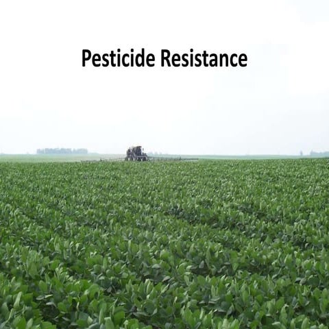12 Pesticide resistance.pptx