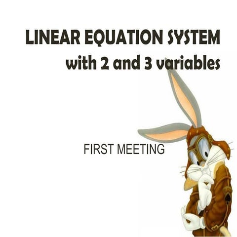 Linear Equation System With 2 And 3 Variables Ppt Programming Languages Computing