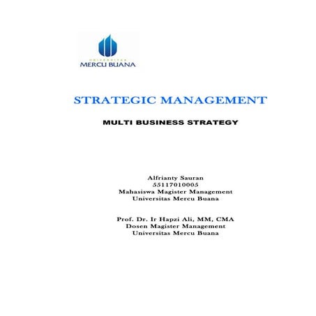 MULTI BUSINESS STRATEGY | PDF