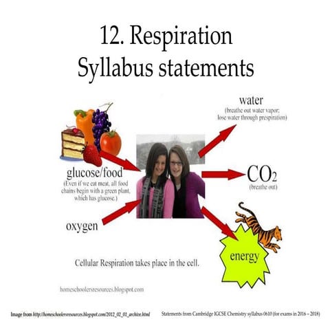 12 syllabus statements | PPT