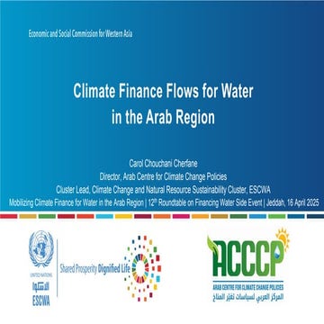12th Roundtable on Financing Water: Strengthening the sustainability of ...