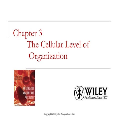 The Cellular Level of Organization | PPT