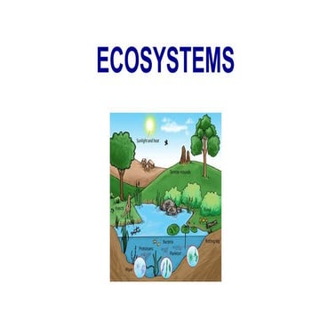 12th_Ecosystems_2024 grade 12 cbse biology | PPT