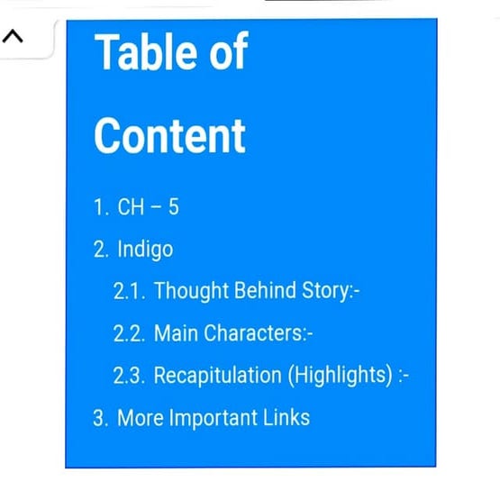 1668526681006_indigo project file eng class 12.pptx