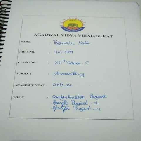 12th standard CBSE Accounts Project 2019-20 | PDF
