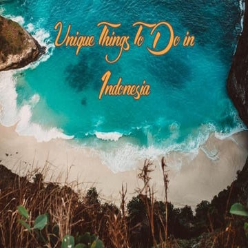 12 Unique Things To Do in Indonesia | PDF