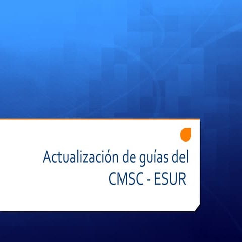13.02.20.actualizacion guias ESUR FSN | PPT