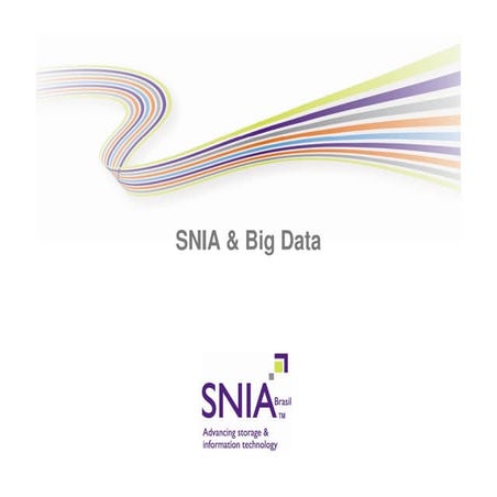 13 11-26 snia, storage networking industry association - panorama ...