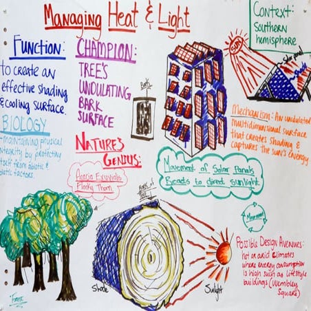 # 13 The Tree Bark | PDF