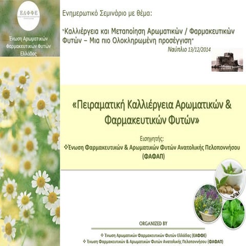 Πειραματική Καλλιέργεια Αρωματικών & Φαρμακευτικών Φυτών - ΦΑΦΑΠ ...